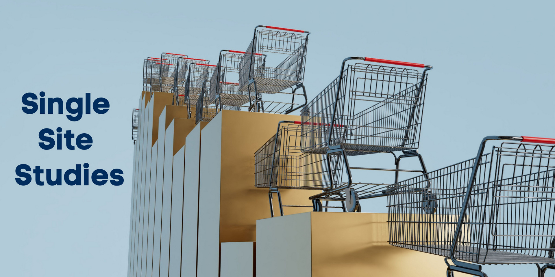 Single Site Studies for Grocery Store Chains - SiteSeer
